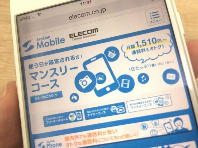 skylink Mobileのメリット・デメリットを徹底解説！速度や評判も紹介 | おすすめの格安SIMを比較！欠点を知って損しないスマホ術｜節約の鬼